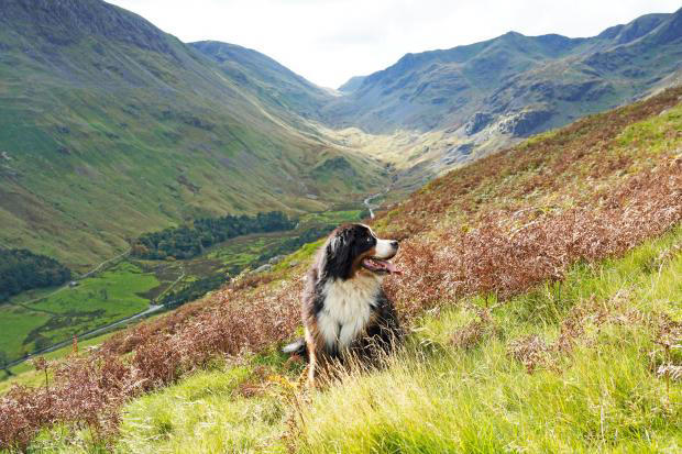 Lake District holiday among 'unmissable' summer deals