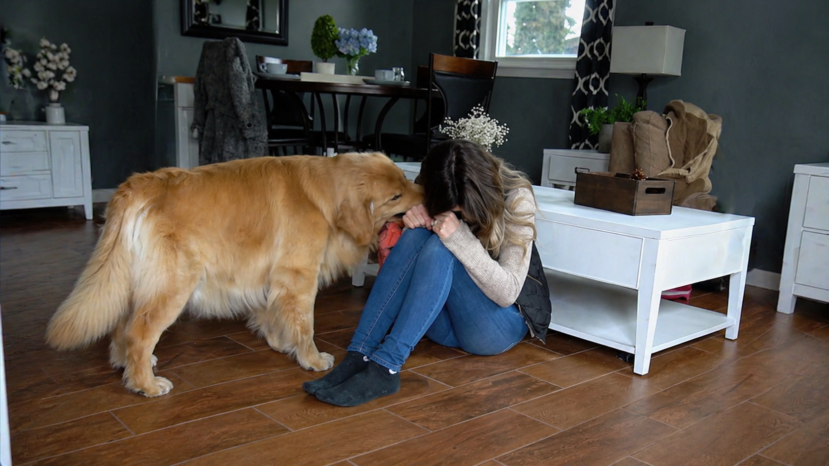 My dog saw me cry and did this
