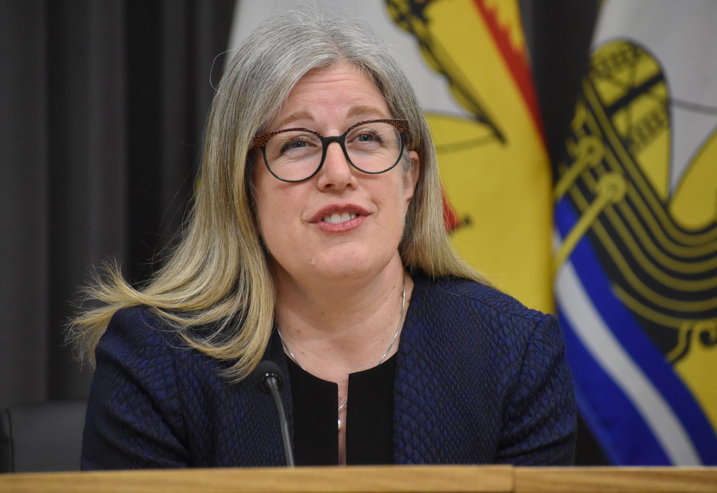 New Brunswick premier says some health-care targets met in public update