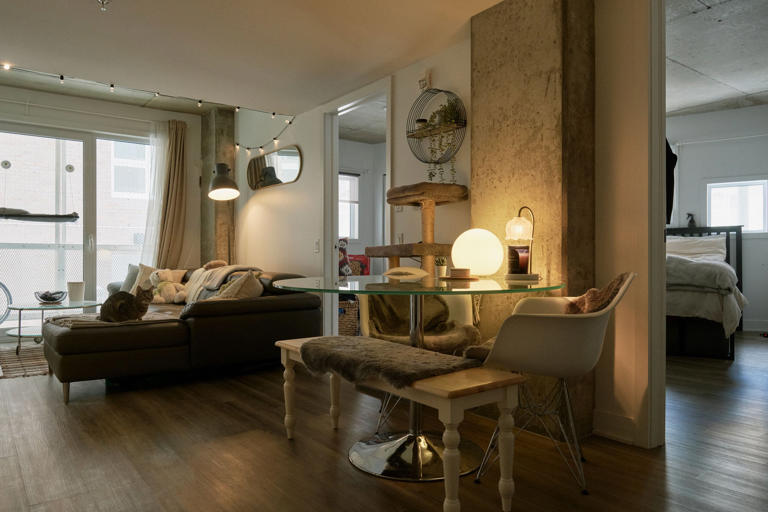 Affordable dorm alternatives for university students