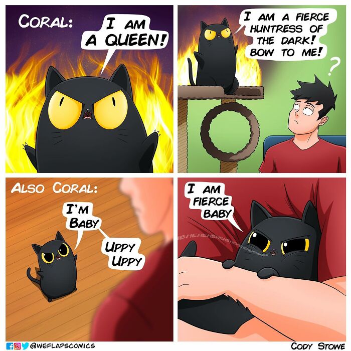 29 funny comics illustrating the quirks of living with a cat