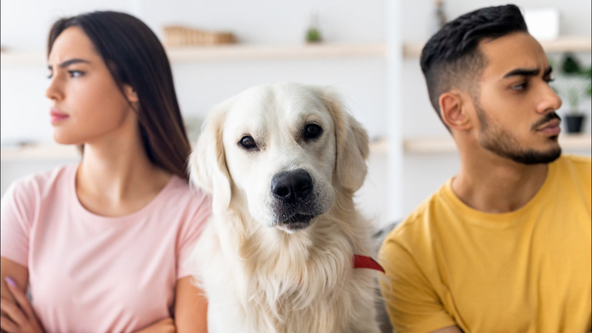 Could your pet be ruining your relationship?