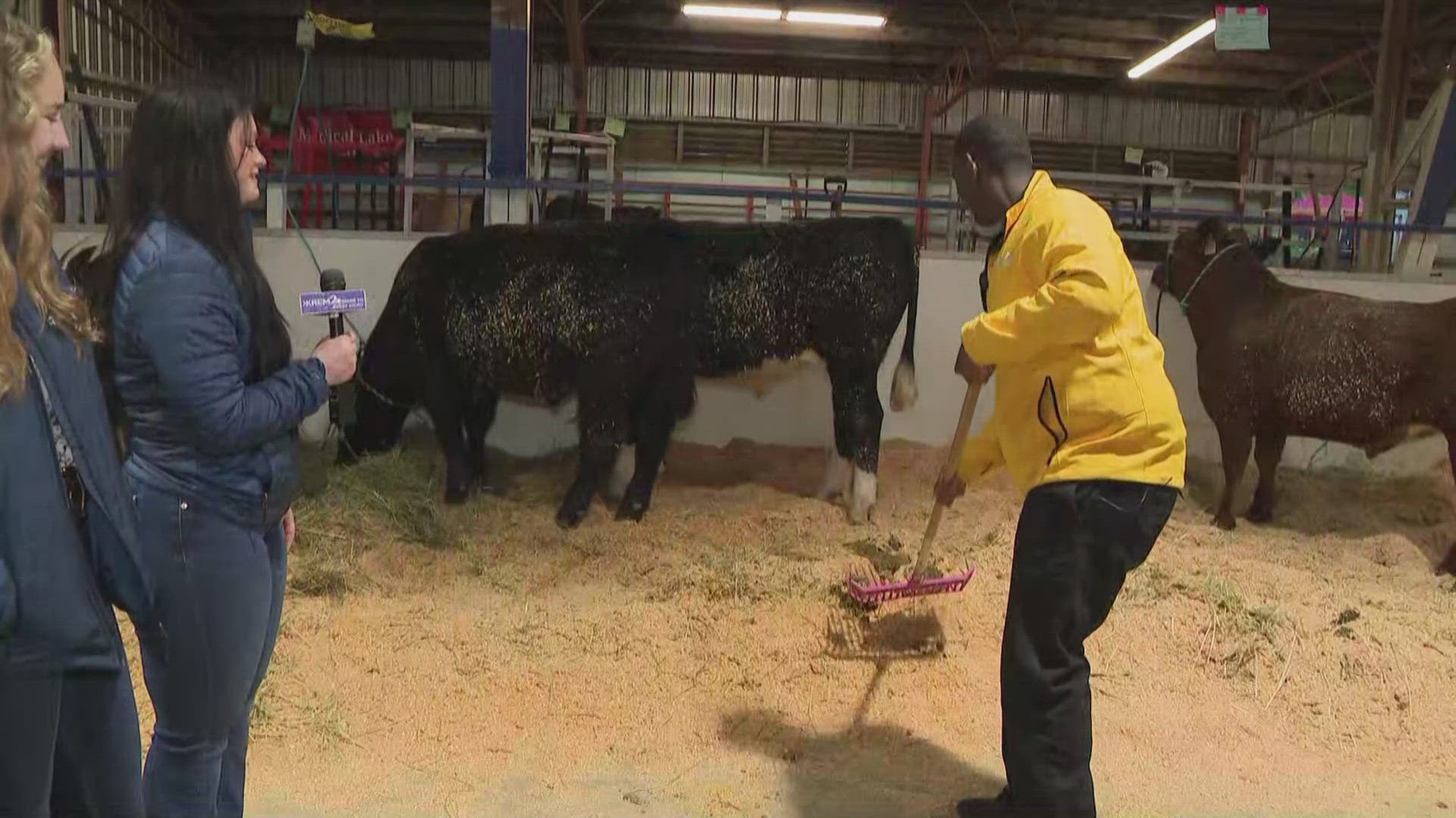 Junior Livestock Show of Spokane returns to Spokane County Fairgrounds