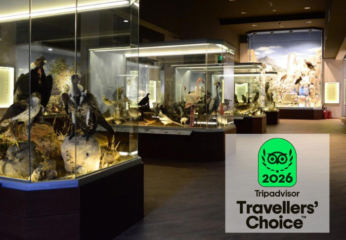Διεθνής αναγνώριση για το Μουσείο Φυσικής Ιστορίας Μετεώρων και Μουσείο ...