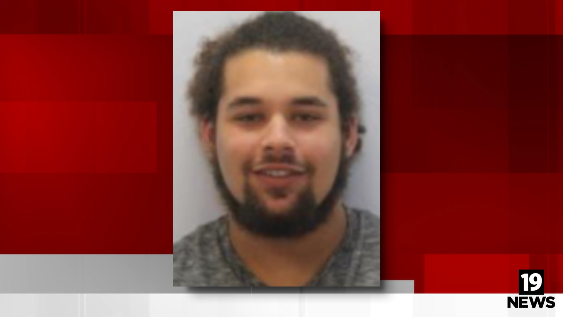 Cocaine, guns, cash seized during execution of Mansfield search warrant