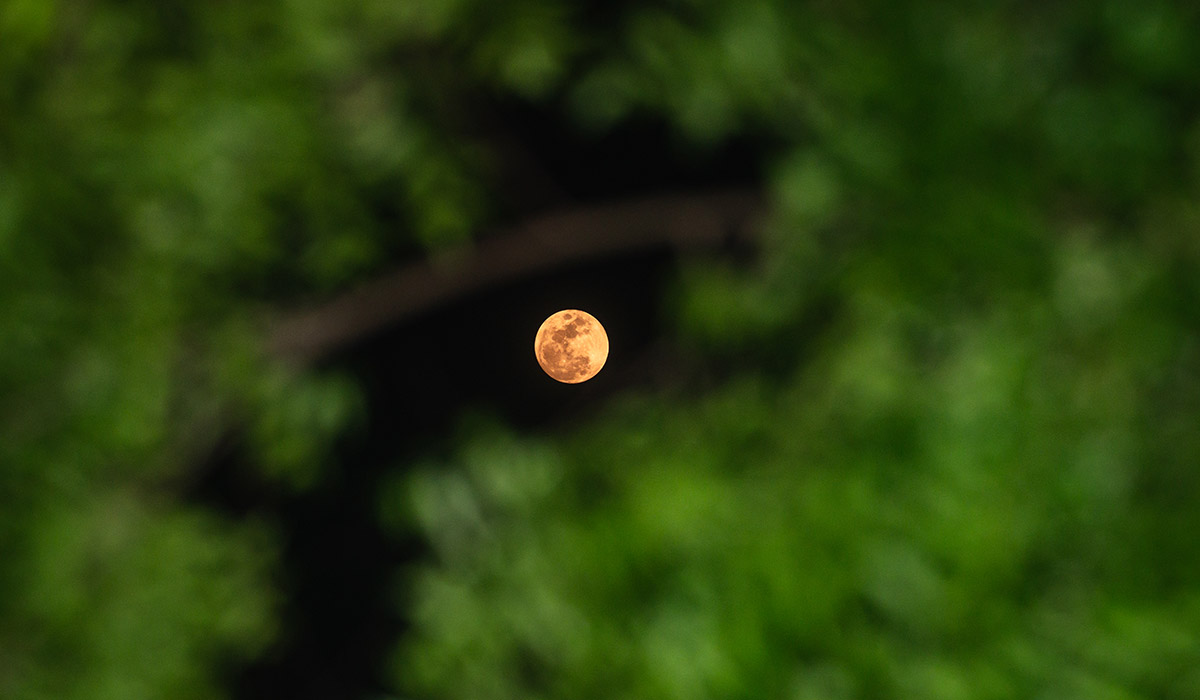 May flower moon: Where and when is it visible this weekend?