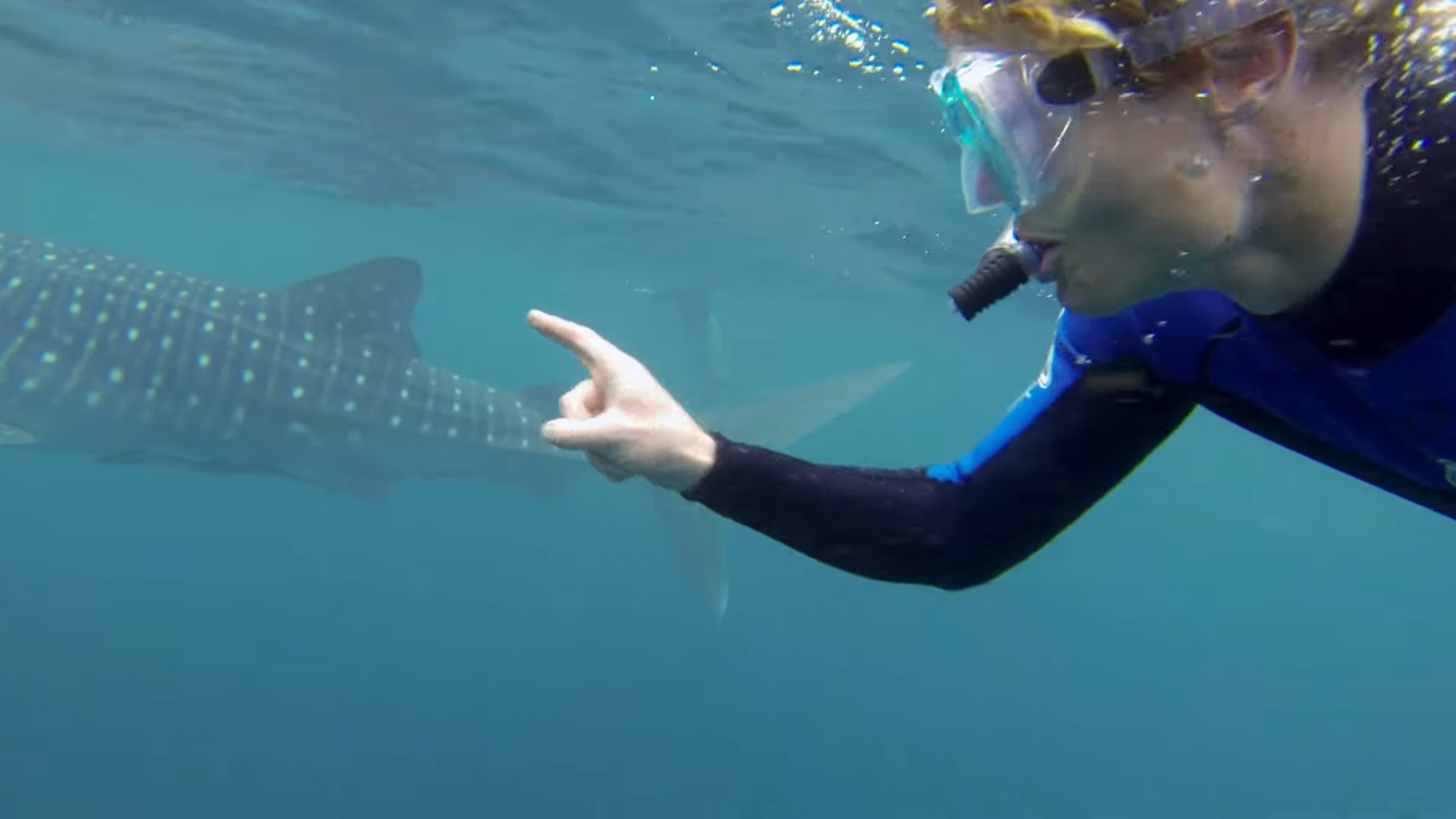 These animals exist and you won’t believe where