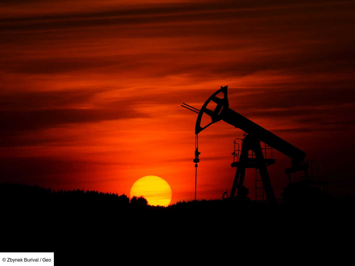 Les Émirats arabes unis quittent l’OPEP en pleine crise pétrolière, un ...