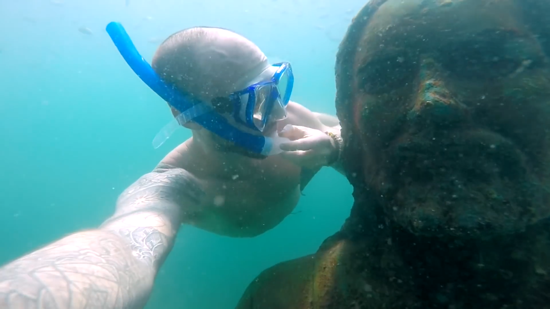 It looked like a peaceful dive… until he got too close