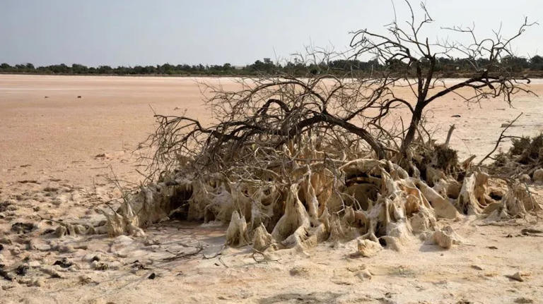 The "middle-climate trap": 5 regional signs that quietly signal trouble ...