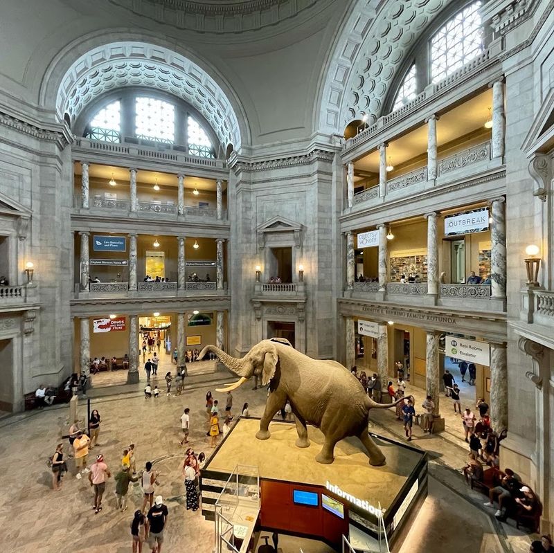 15 free museums in America that offer world-class exhibits