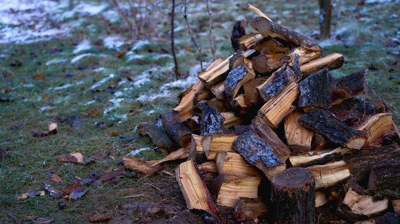 Common mistakes to avoid when storing your firewood