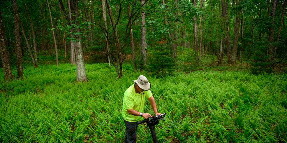 Wait, did the FBI secretly dig up Civil War gold? New documents shed ...