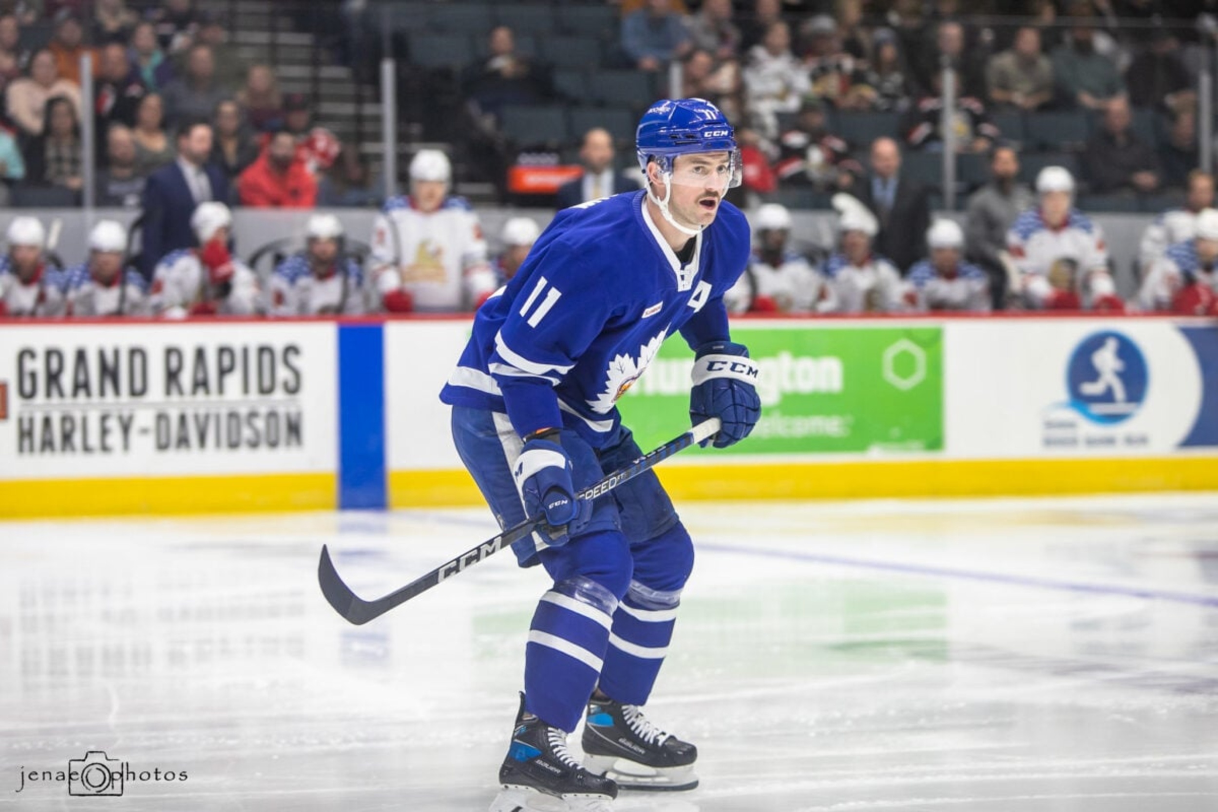 Maple Leafs news & rumours: Villeneuve, Cowan, Shaw, Lettieri ...