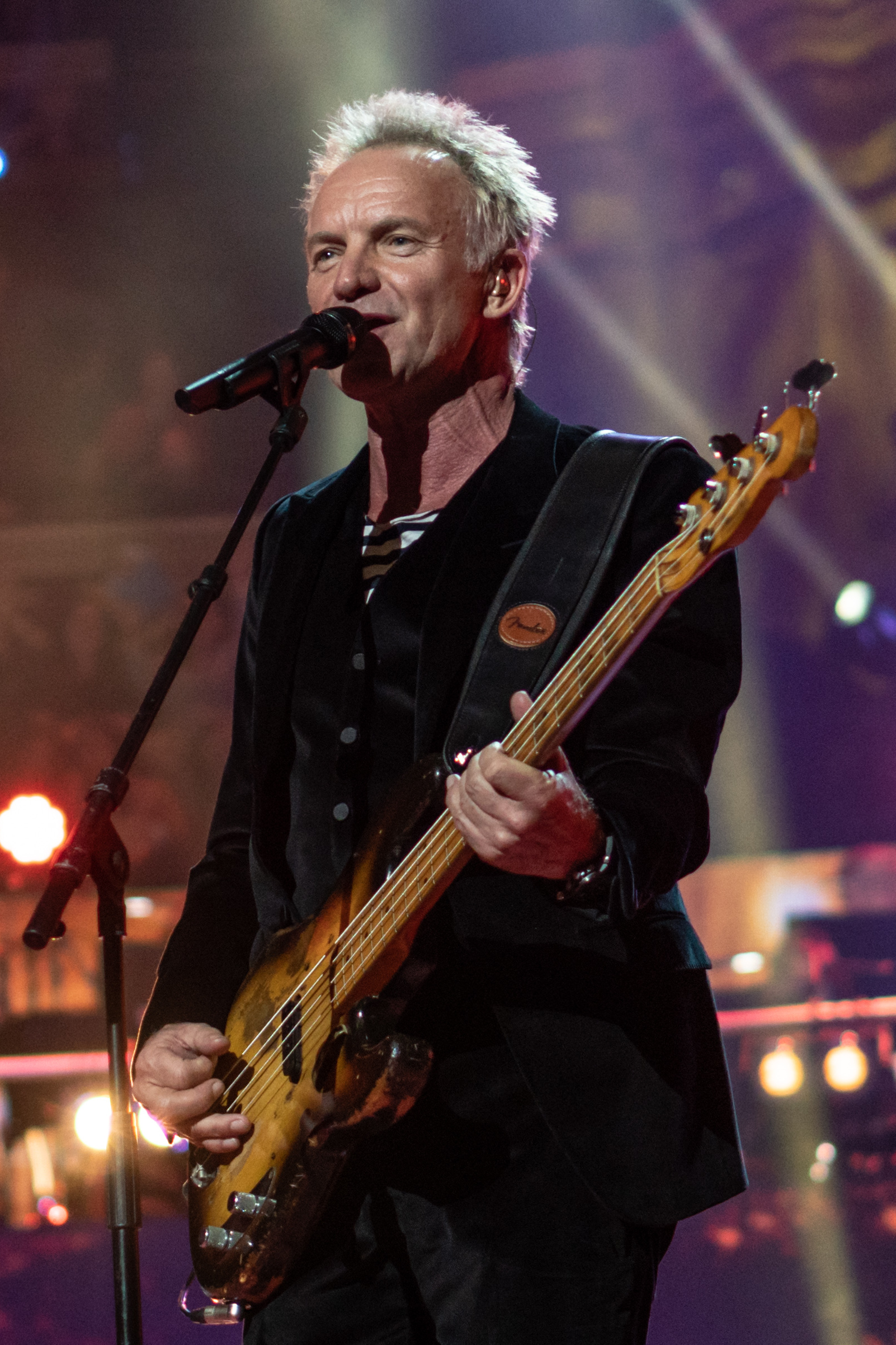 30 famous band members who had successful solo careers