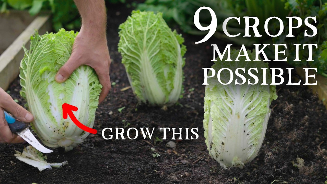 I found 9 crops to kickstart self-sufficiency!