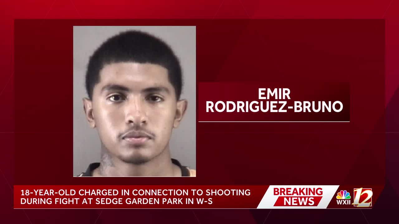 18-year-old charged after firing gun during fight at Sedge Garden Park ...
