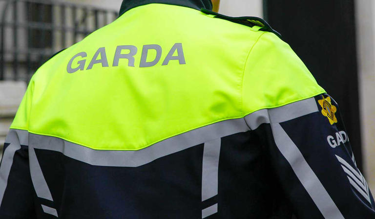 Campaign raises over €125,000 for Dublin Garda who suffered life ...