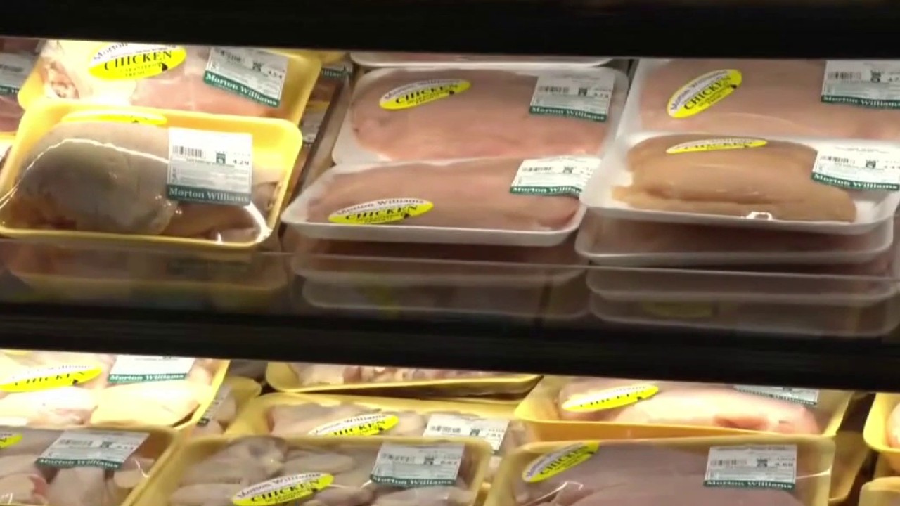 Salmonella & backyard poultry | Health with Dr Kumar