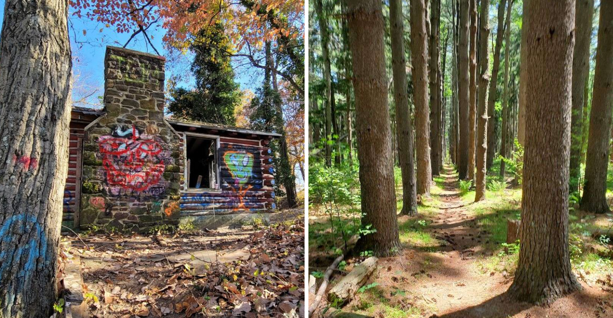 This New Jersey trail follows a winding creek for 3.3 miles and leads ...