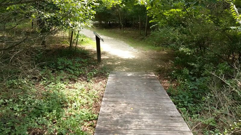 This New Jersey park lets you spot owls and warblers from a bird blind ...