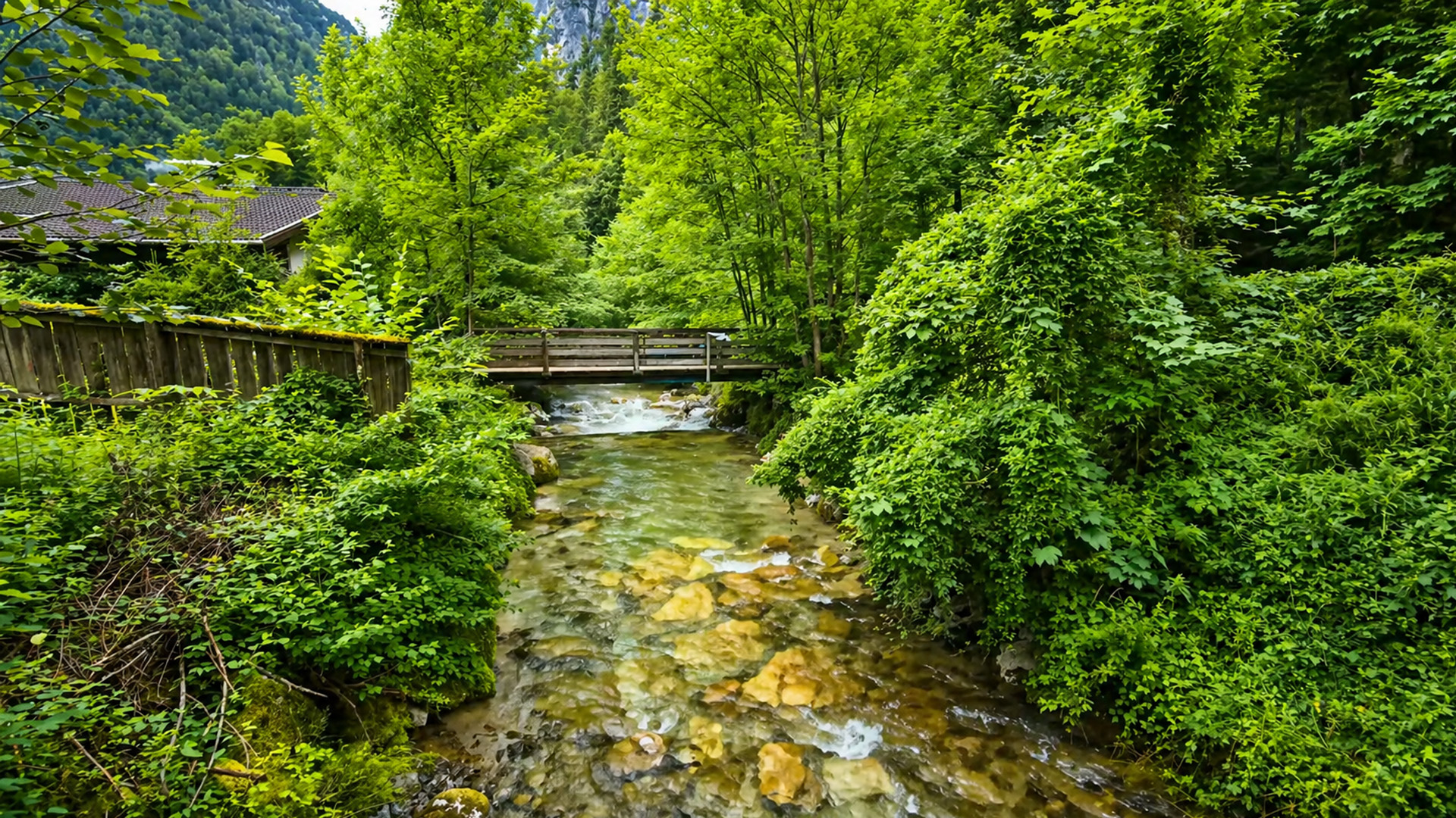 Seisenbergklamm Austria offers a beautiful gorge walk (4K)