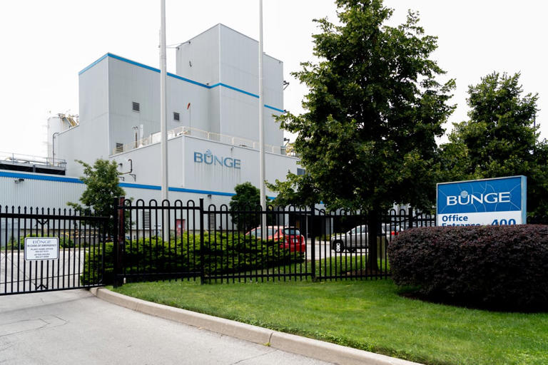 What's going on with Bunge stock today?