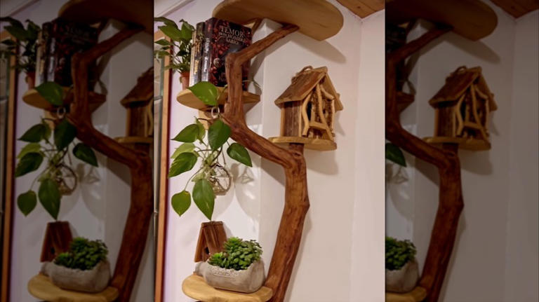 Embrace the naturecore aesthetic with climbing driftwood shelf decor