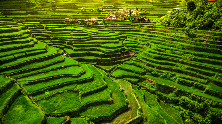 The best islands to visit in Southeast Asia