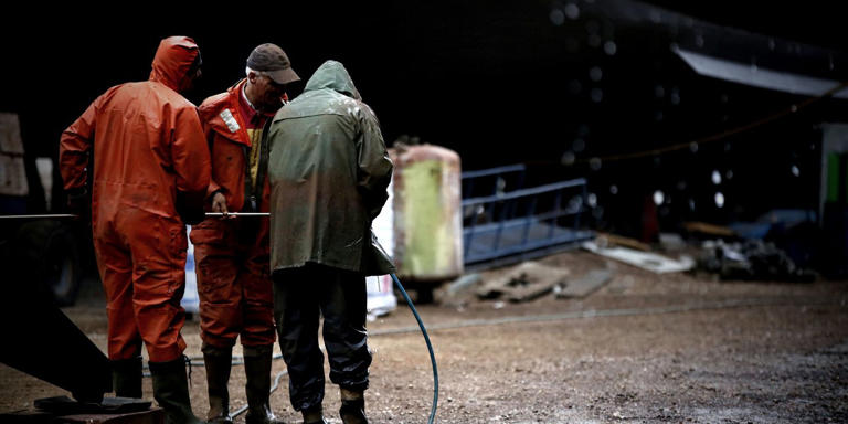 Εργατικά ατυχήματα σε πλοίο και ναυπηγείο: Δύο σοβαροί τραυματισμοί σε ...