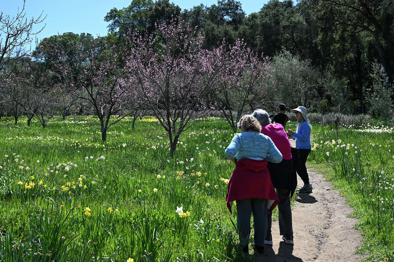 105-unit builder's remedy proposal surfaces in wealthy Peninsula enclave