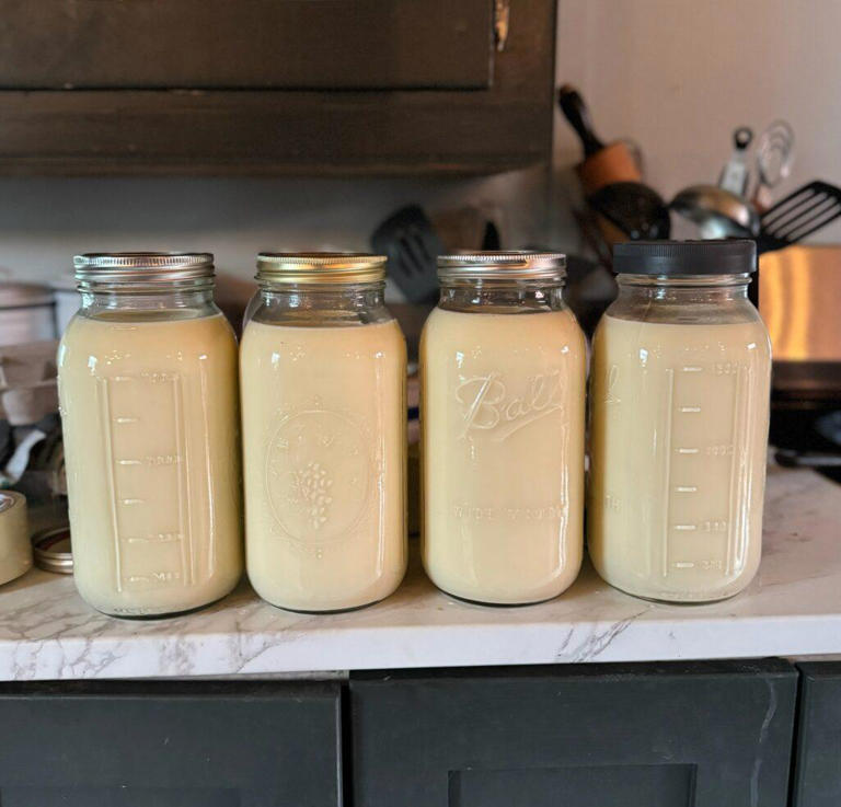 Ballerina Farm, the raw milk reality check and caution around ...