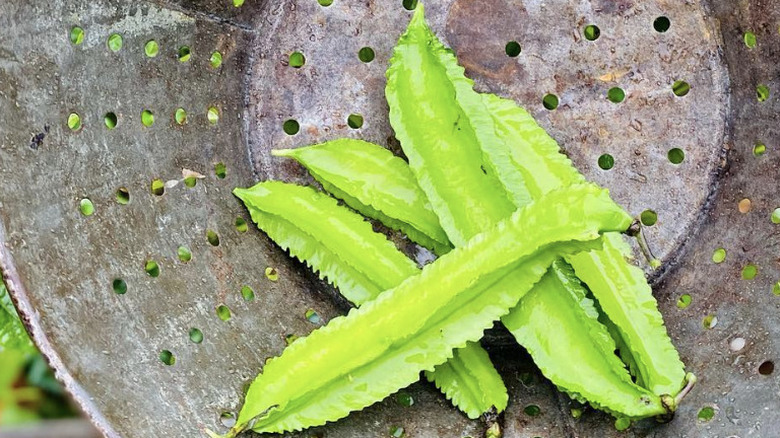 What are Vietnamese dragon beans and how do you cook them?