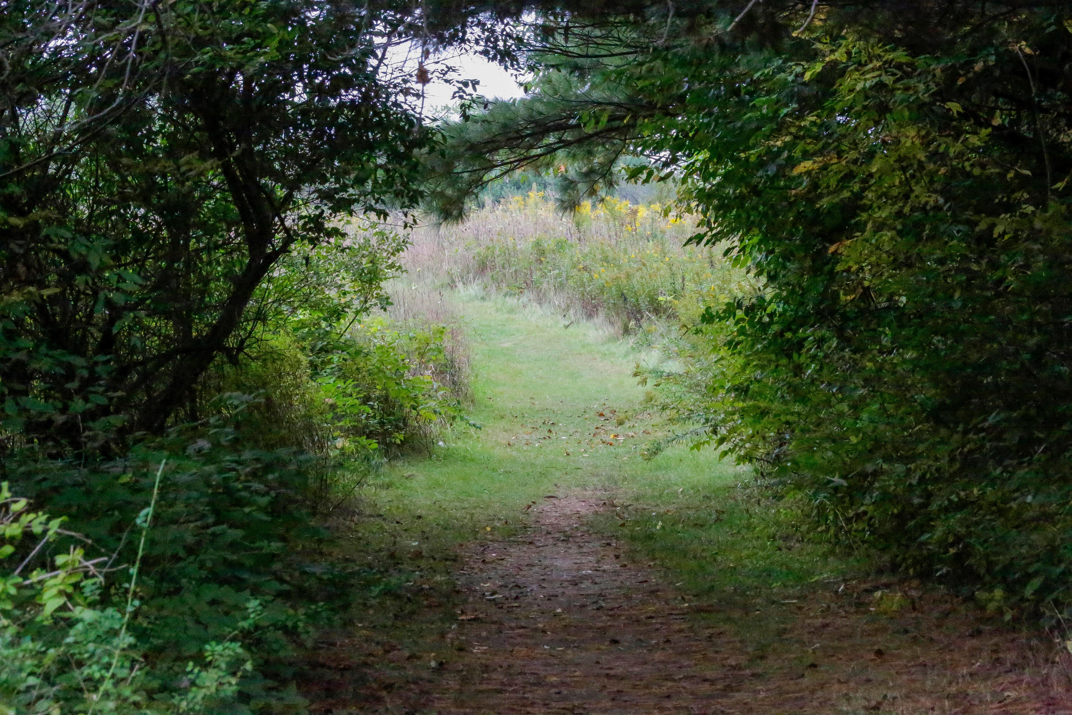 Kohler-Andrae State Park offers spring events for families