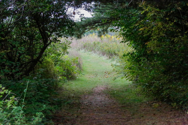 Kohler-Andrae State Park offers spring events for families