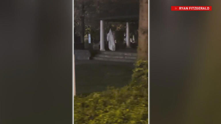That's straight up Klan: Disturbing viral video of hooded figure ...