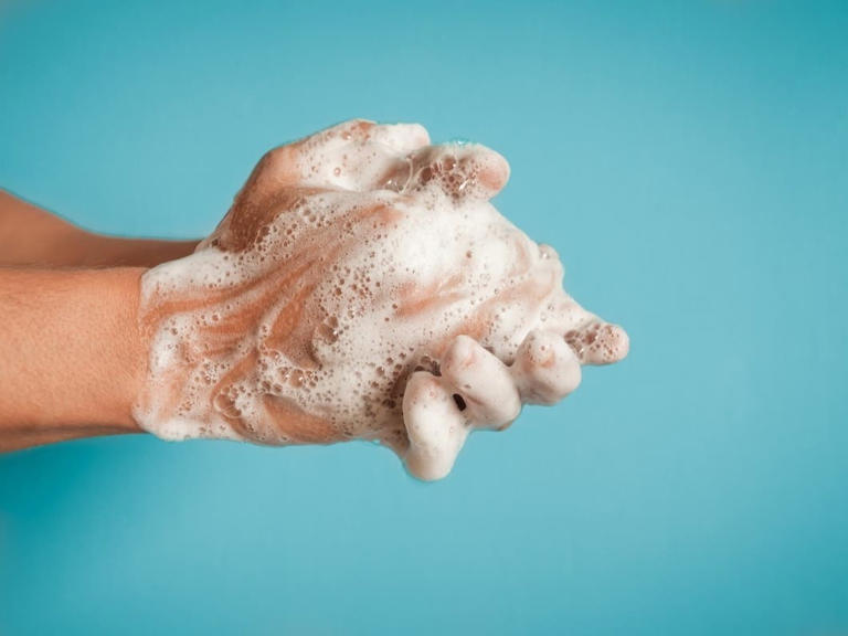 Improper handwashing procedures reported at multiple Fredericksburg ...
