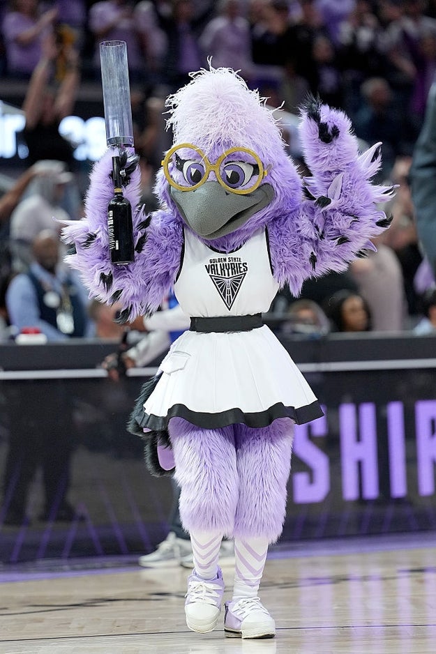 I ranked the WNBA mascots purely based on vibes, and I need everyone to ...