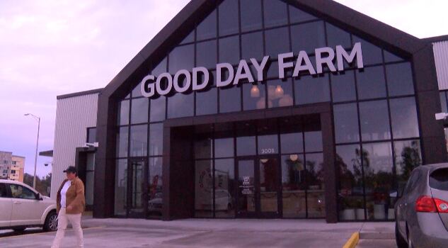 Missouri cannabis companies sue Good Day Farm, alleging illegal market ...