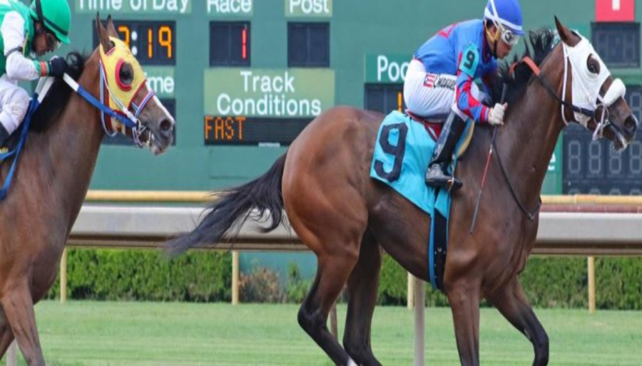 Louisiana Downs kicks off Thoroughbred racing season