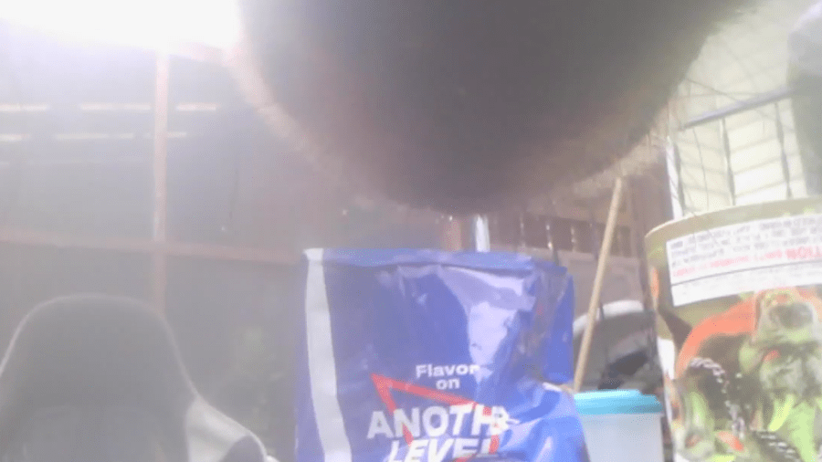 Bear caught stealing Cool Ranch Doritos prompts warning from officials