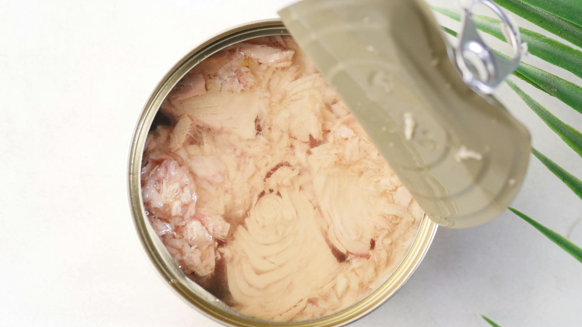 20 foods that support bone strength beyond dairy