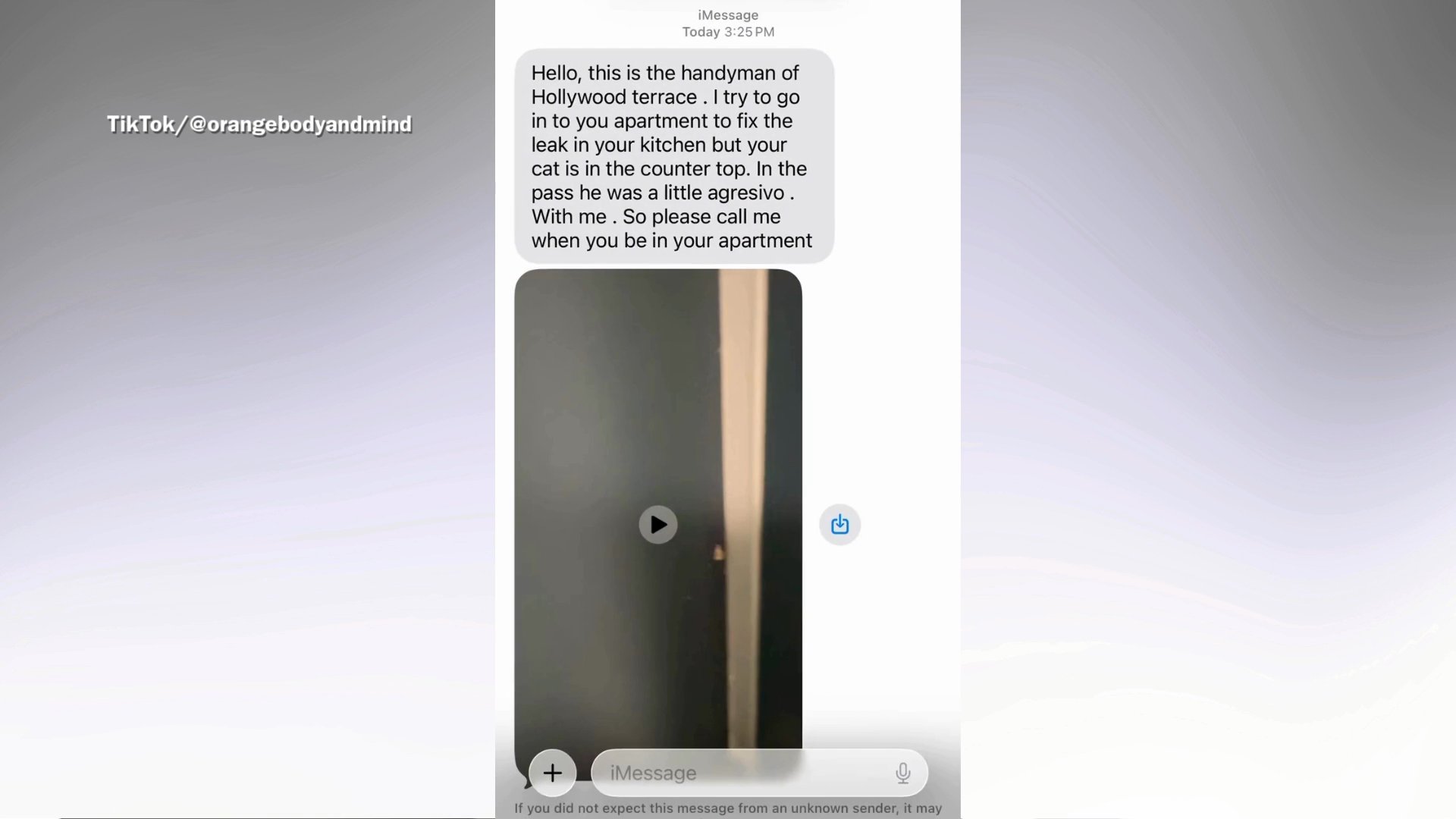 Handyman texts renter about cat