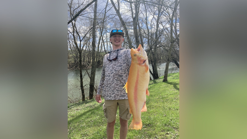 15-year-old catches record-breaking golden rainbow trout in West Virginia