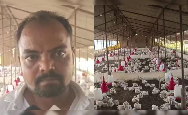 140 chickens die after wedding DJ decides to crank up the bass