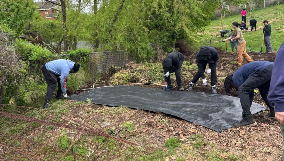 Ruth Bennett Farm in Chester prepares eighth annual kickoff