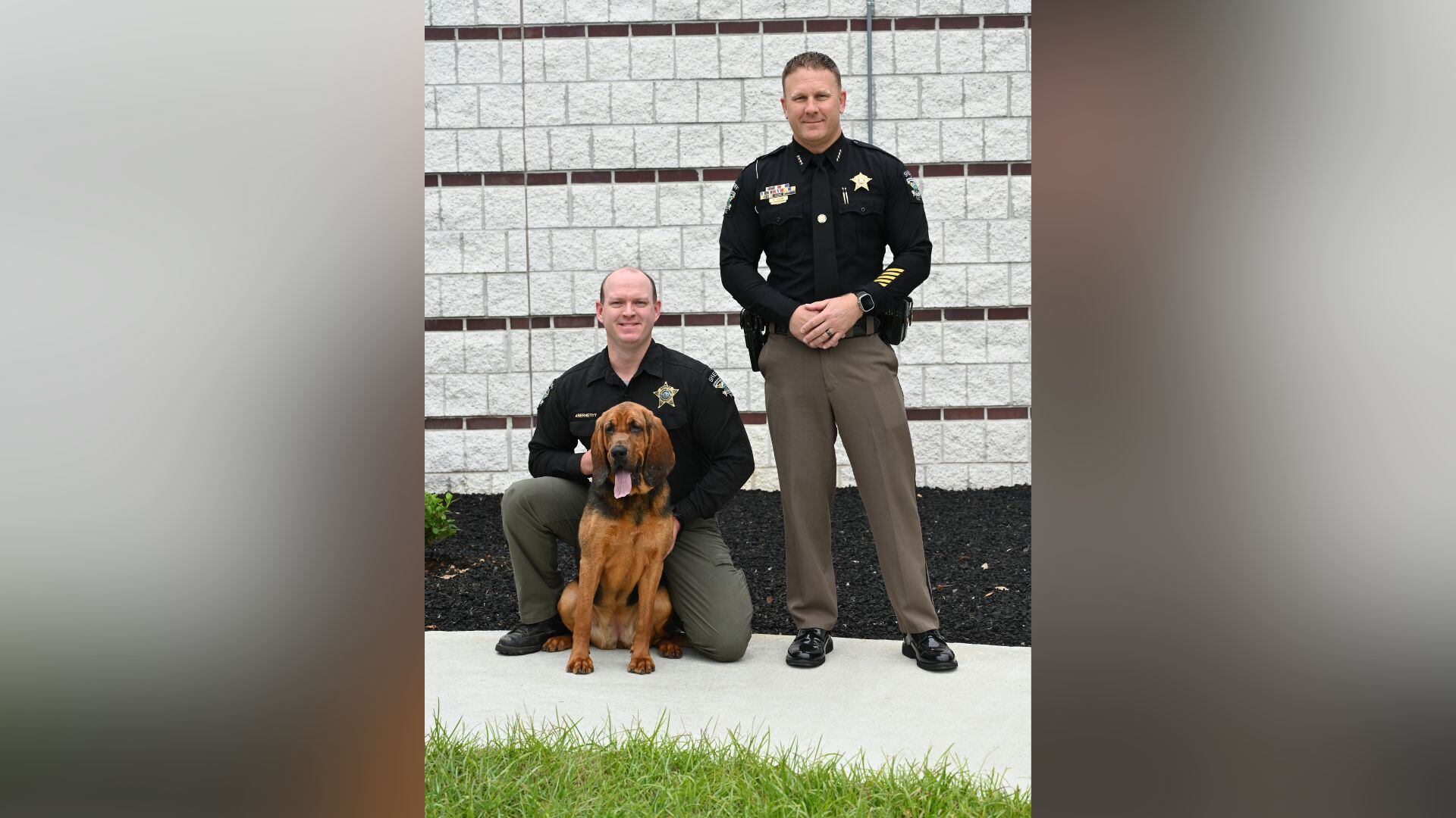 New K9 joins joint agency bloodhound tracking team