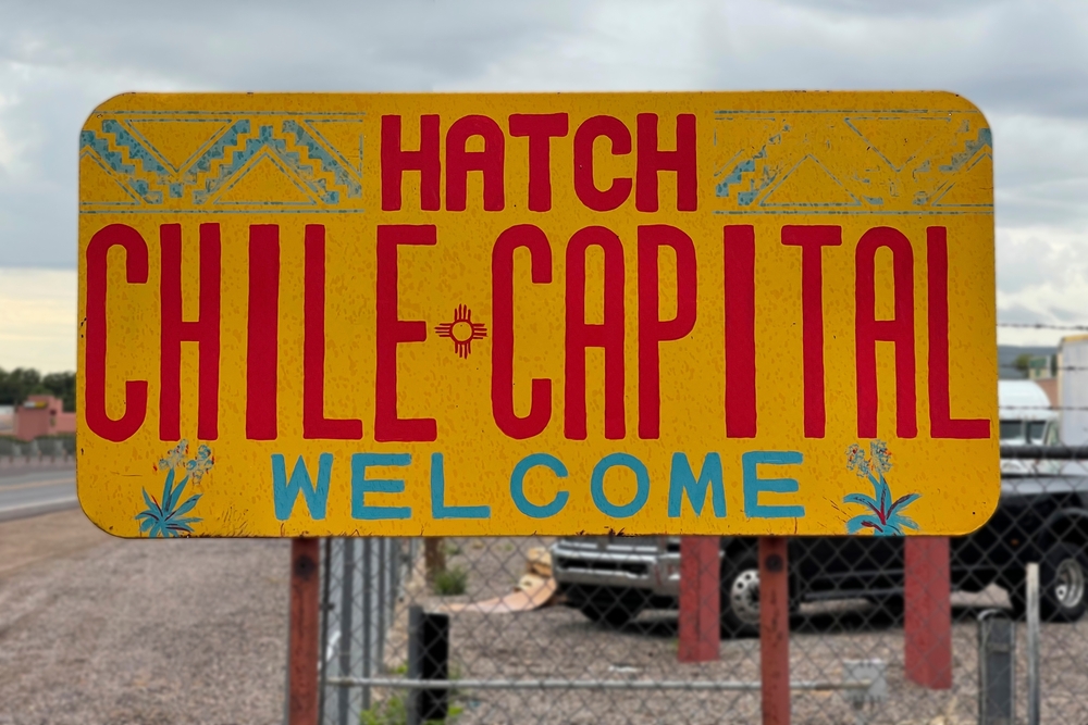 New Mexico built a 100-stop road trip around one burger and it’s ...