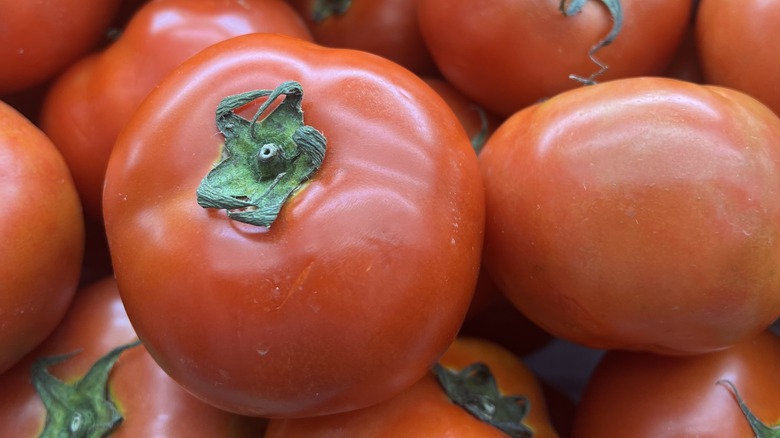 What are Better Boy tomatoes and what do they taste like?