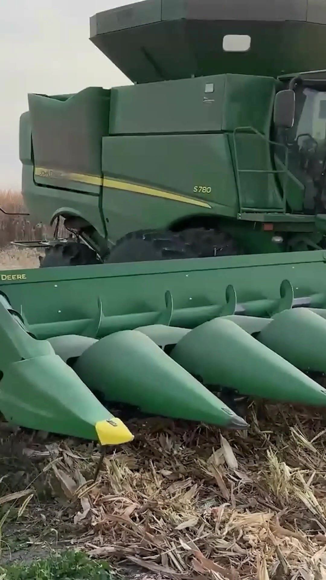 A challenging moment on the farm